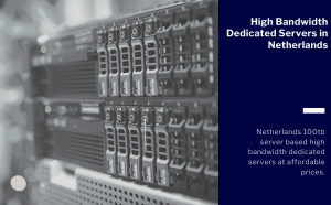 Blog - Netherlands 100tb Server